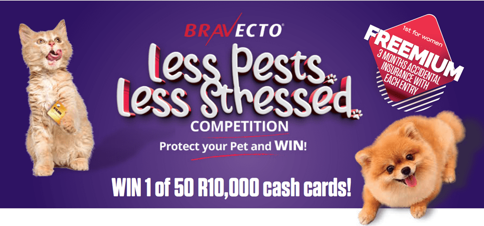 Less Stressed Campaign - Bravecto Blog