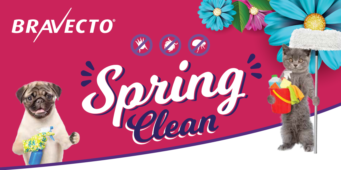 Spring Clean Campaign - Bravecto Blog